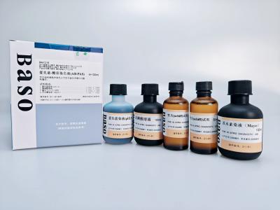 China Alcian Blue and PAS Stain (AB-PAS) 4x100 ml Manchas coloridas claras à venda