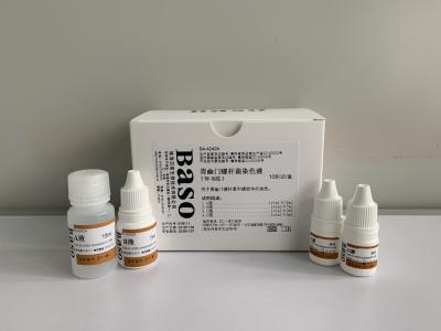 Κίνα 10Τεστ/Κίτ Ιστολογικές κηλίδες Helicobacter Pylori Μηχεία μεθοδος W-S προς πώληση