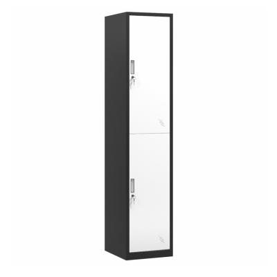 China Vertical 2 Doors Steel Clothes Wardrobe Metal Bedroom Storage Locker for sale