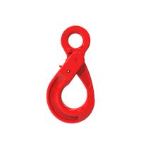 China Super Alloy Steel Safety Hook SLR737 Eye Type 2.5T Proof Tested for Web Sling and G80 Chain for sale