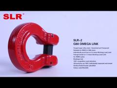 SLR002- LIEN DE G80 OMEGA