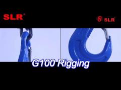 slr1003-g100 eye slip hook with cast latch