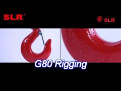 SLR040-G80 SWIVEL HOOK WITH LATCH