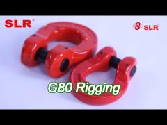 SLR002- G80 OMEGA LINK