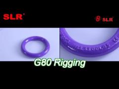 SLR038 - FORGED ALLOY STEEL RING
