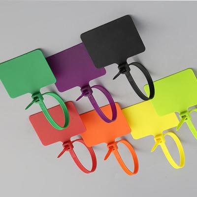 China Customized Tamper Proof Plastic Seal Security Tags For Shoes And Clothing for sale
