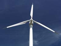 China 600W 24V Wind Driven Generator NE-600M2 ISO9001 Certified Off-Grid Wind Turbine for sale