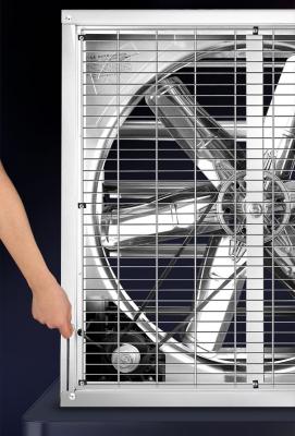 Cina Ventilazione a ciclo per ventilatori industriali a prova di esplosione e a prova di umidità in vendita