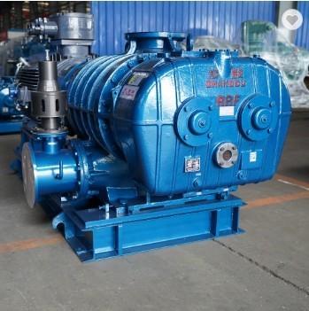 中国 高圧根吹風機 NSK 軸承と最大効率のための鋳鉄回転バルブ 販売のため