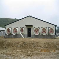 China Advanced Automatic Poultry House for Optimal Chicken Farming for sale