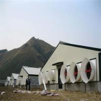 China Advanced Automatic Poultry House for Optimal Chicken Farming for sale
