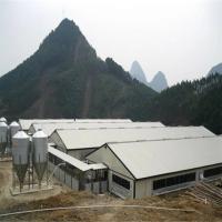 China Advanced Automatic Poultry House for Optimal Chicken Farming for sale