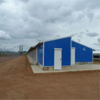 China Advanced Automatic Poultry House for Optimal Chicken Farming for sale