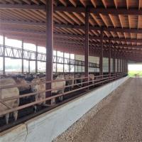 China Spacious Modular Chicken Housing Solutions for Happy Hens for sale