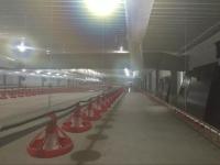 China Cost Effective Steel Structure Chicken House Suited for Free Range Broilers for sale