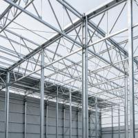 China Large-Span Multi-Story Steel Structure Food Processing Workshop for Agricultural Development for sale
