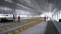 China Steel Structure Warehouse Large Span Industrial Storage Workshop Durable Building for sale