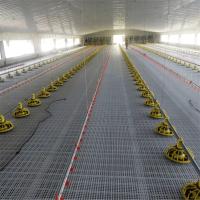 China Automatic Light Steel Structure Poultry House for Chickens for sale