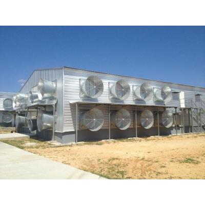 China Insulated Steel Structure Chicken House Equipped with Broiler Floor Feeding Lines for sale