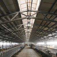 China Clear Span Steel Basketball Facility Offering Excellent Visibility and Functionality for sale