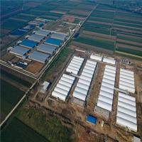 China Modern Steel Structure Chicken House for sale