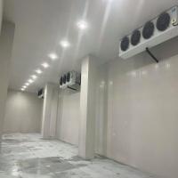 China Light Steel Structure Frame Cold Storage with Fast Construction and Quality for sale