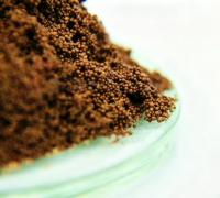 Quality YZX-3 Bitterness Removal Adsorbent Resin for Orange Juice Making Process for sale