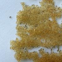 Quality D113 Acrylic Weak Acid Cation Resin for Industrial Wastewater Calcium Magnesium for sale
