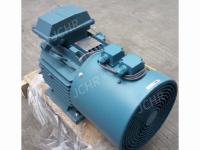 China QABP Variable Frequency Motor 50Hz 60Hz for sale