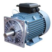 China QABP Variable Frequency Motor 50Hz 60Hz for sale