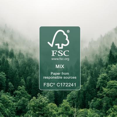 Cina 2024 pagine interne bianche su ordinazione del pianificatore settimanale quotidiano verde chiaro quotidiano del pianificatore in vendita