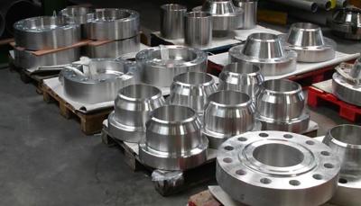 Cina Saldatura piana ad alta pressione di acciaio al carbonio del tubo su ordinazione della flangia di estremità del collo in vendita