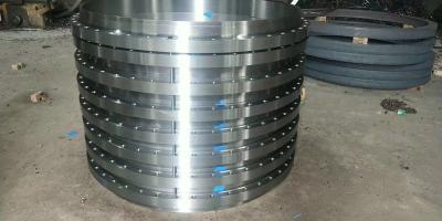Cina Il CNC resistente ha forgiato le flange di acciaio inossidabile, flangia non standard di alluminio in vendita