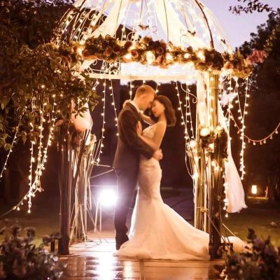 Cina 10m Battery Operated Fairy Light For Christmas Tree Warm White Globe String Lights in vendita