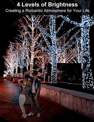 China Christmas String Lights Outdoor with Remote 8 Modes & Memory Timer Green Wire Twinkle Fairy Lights Decor à venda