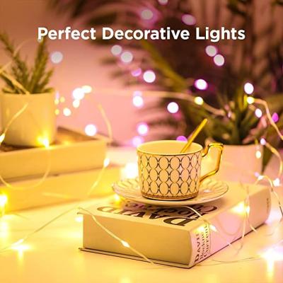 Cina Le luci leggiadramente impermeabilizzano il telecomando dell'interno di Dimmable della decorazione della lucciola di nozze bianche calde di Lightsfor in vendita