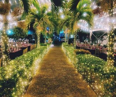 Cina Il Natale accende 400 luci allungabili bianche calde all'aperto/dell'interno della corda del LED impermeabilizza per la decorazione di Natale in vendita
