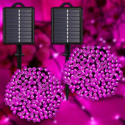 Cina La corda solare di Natale accende il rosa all'aperto con i 8 modi che IP44 impermeabilizzano le luci per la decorazione dell'iarda del giardino dell'albero in vendita