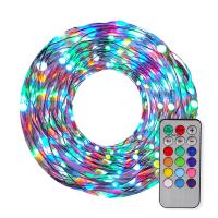 China 10 LED Battery Copper Wire Lights 3M Multicolor Christmas String Lights for sale