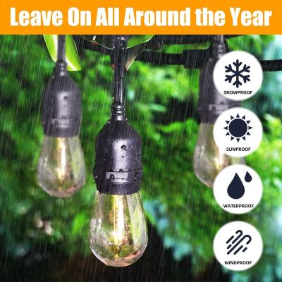 Cina 25 lampadine impermeabilizzano il patio all'aperto di atmosfera delle luci 240V del festone per nozze in vendita
