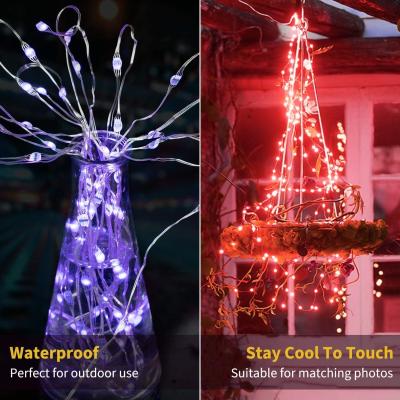 中国 6V電池式の多色のクリスマスの照明 販売のため