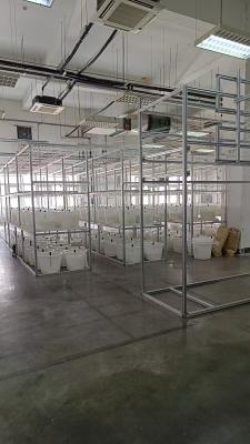 China Equipamento automático de alinhamento de fios para membrana de fibra oca à venda