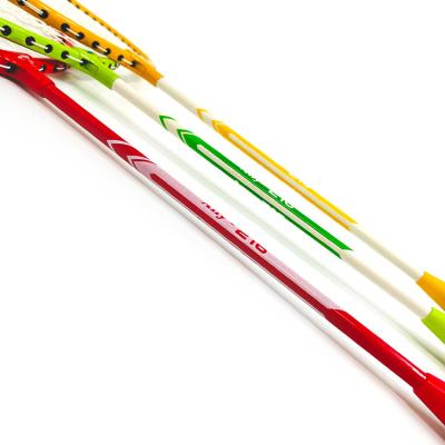 Cina Racchetta di volano portatile gialla verde messa con il volano di nylon della foglia 2 volani dei giocatori in vendita