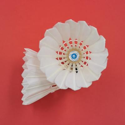 Cina Il tipo BWF di Duck Feather Badminton Shuttlecock Traditional della concorrenza ha approvato in vendita