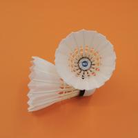 China Dmantis Badminton Flex Goose Feather Shuttlecock Durable for sale