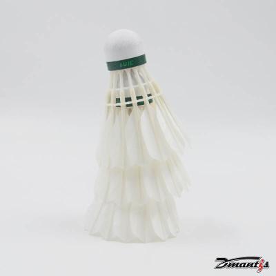 Cina Vendita diretta in piccole quantità 3in1 Hybrid Shuttlecock Retailer Badminton Shuttlecock Piuma naturale di anatra in vendita