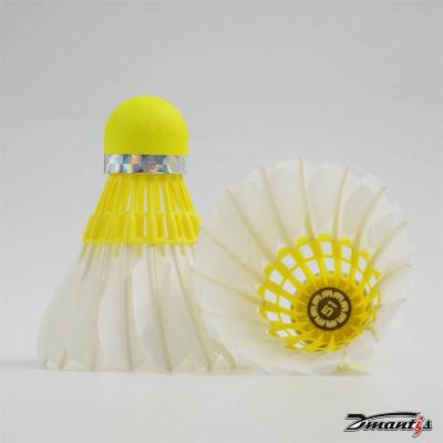 Cina Dmantis 3 in 1 Shuttlecock Ibrido Durable Turni all'aperto Allenamento Badminton Racket Shuttlecock Goose in vendita