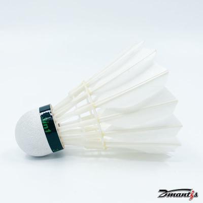 Cina Stanza di nylon modificata Shuttlecock di badminton Super durevole 3in1 Shuttlecock ibrido Shuttlecock di qualità stabile in vendita