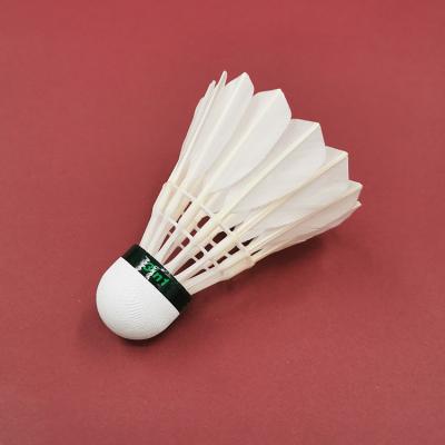 Cina Best Price Hybrid Shuttlecock Nice Quality 3in1 Shuttlecock Badminton in vendita