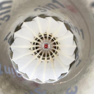 Cina Ingrosso Cina Dmantis 3 in 1 Piuma di anatra resistente Shuttlecock Badminton di alta qualità in vendita